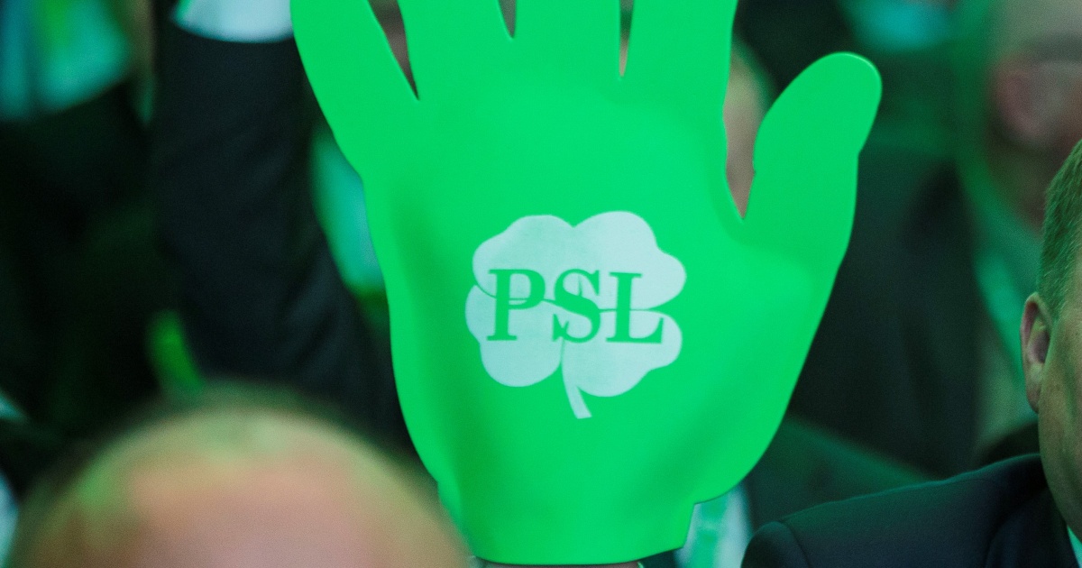 „PSL to najbardziej prorosyjska partia w parlamencie. Przewodniczący ...