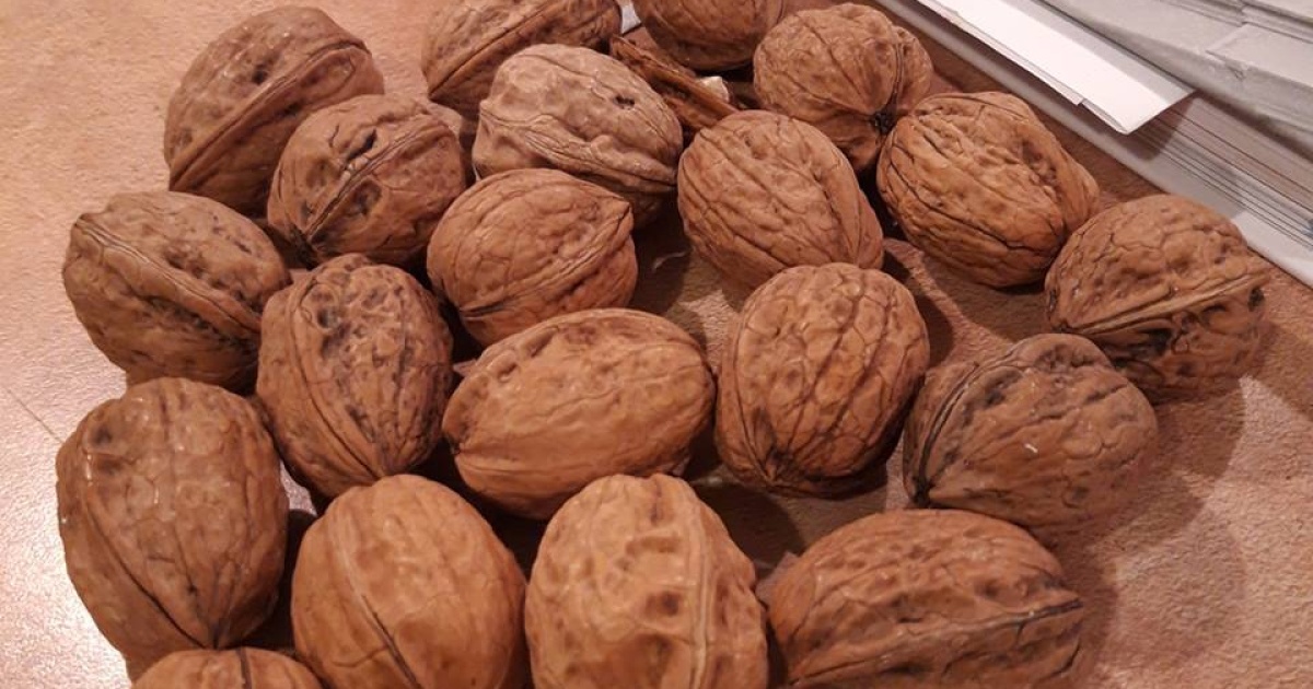 Kledzik radzi: Słaby punkt, czyli jak bez wysiłku rozłupać orzech